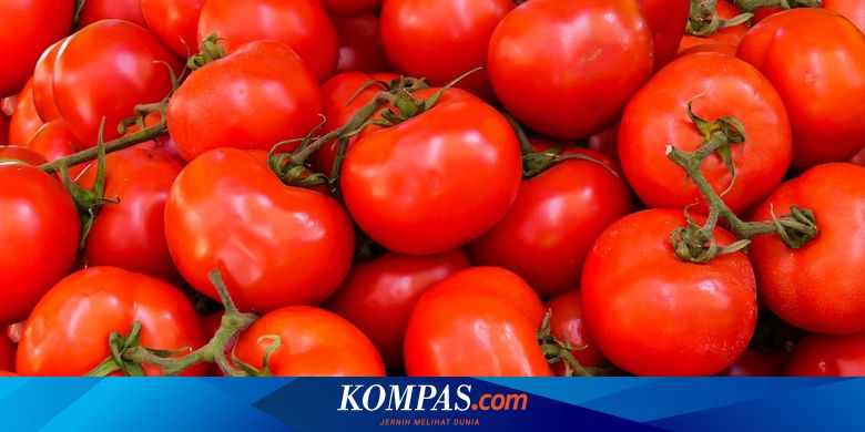 Apa Saja Manfaat Tomat Ceri untuk Kesehatan?