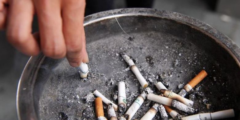 2 Manfaat Abu Rokok untuk Tanaman