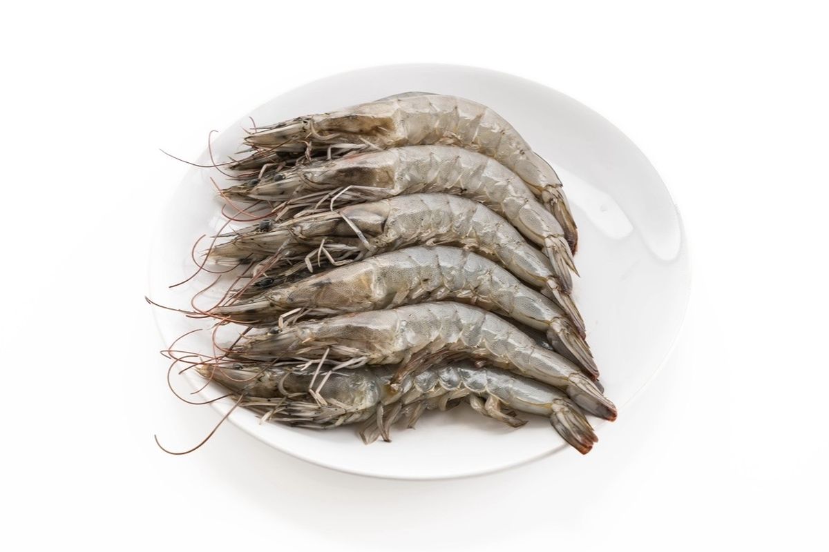 Memakan Benang Hitam di Punggung Udang? Tenang, Ini Penjelasan Ahlinya