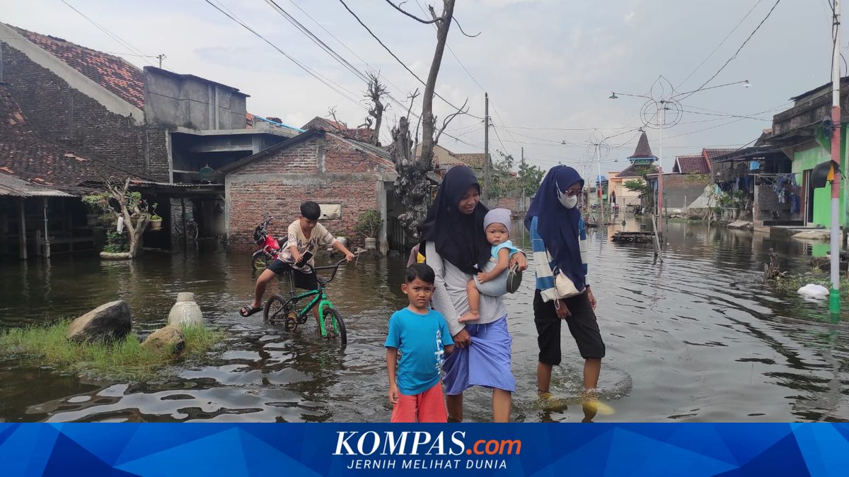 8 Bulan Banjir Tak Surut, Begini Kondisi Desa Sayung Demak