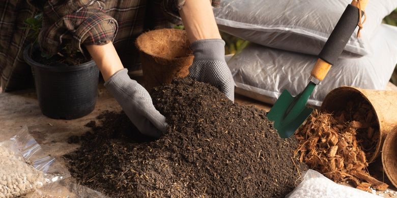 Cara Membuat Media Tanam untuk Tanaman Buah Dalam Pot
