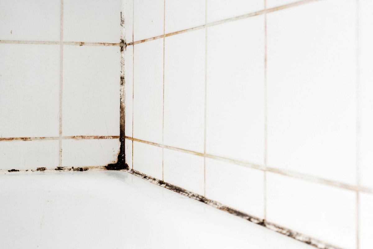5 Cara Mengenali Tumbuhnya Jamur di Kamar Mandi Anda