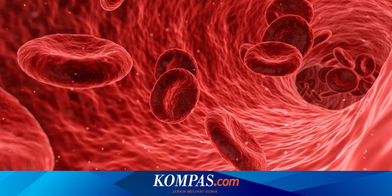 Deep Vein Thrombosis (DVT): Gejala, Penyebab, dan Cara Penanganannya