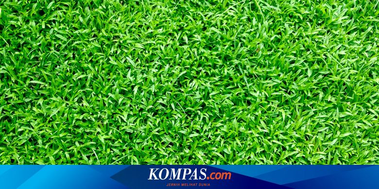 Persiapan yang Wajib Dilakukan Sebelum Memasang Rumput Sintetis