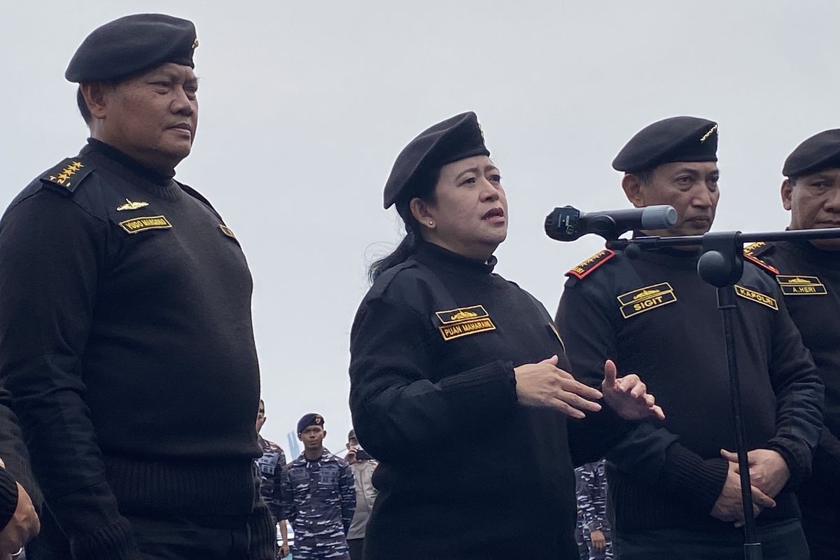 Puan Dorong "Minimum Essential Force" Tahap III TNI Segera Dipenuhi