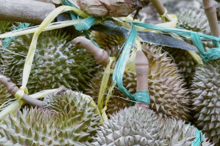 Menilik Asal-usul Tradisi "Borong Durian" di Rumpin