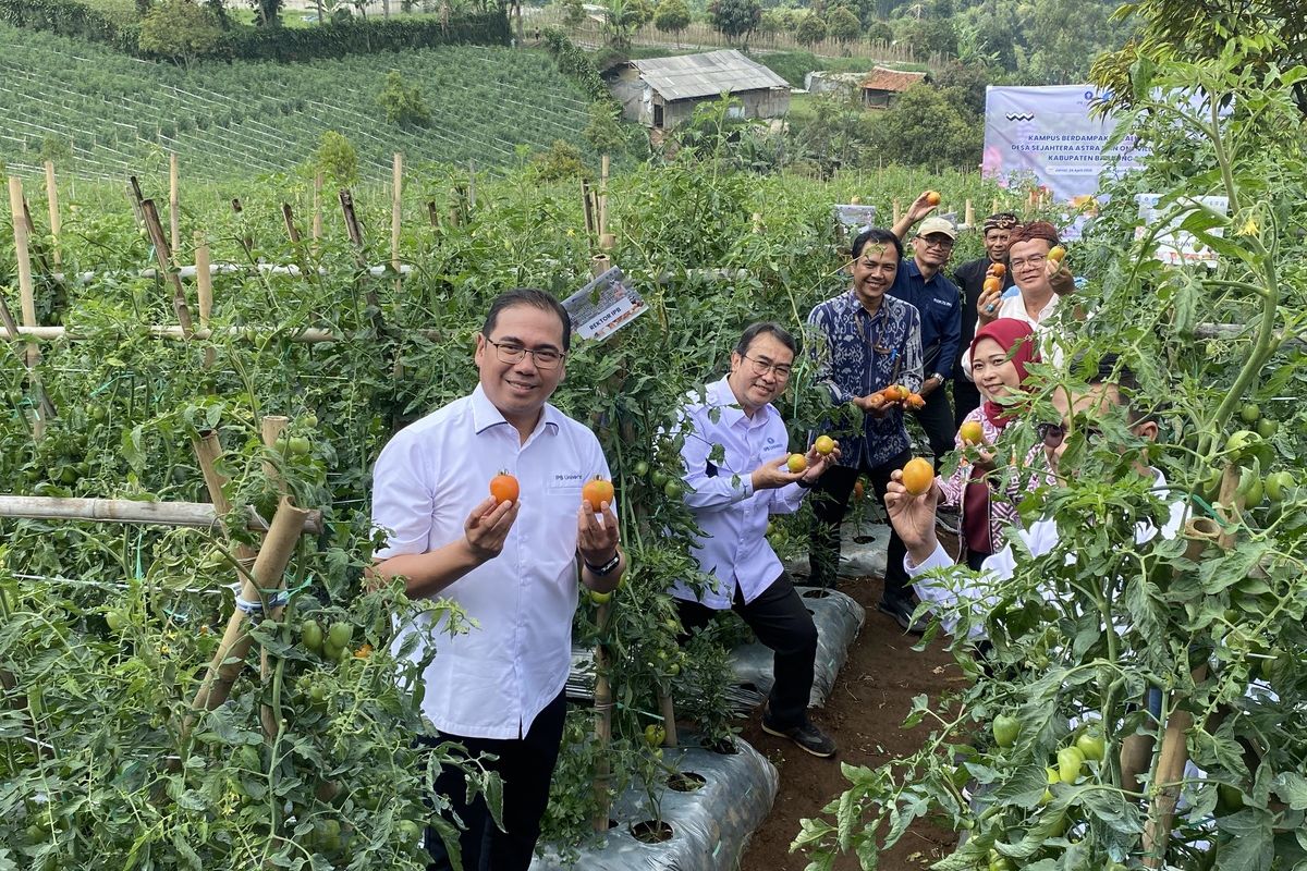 Perkuat Produksi dan Manajemen Pascapanen, IPB Dampingi Petani Bandung ...