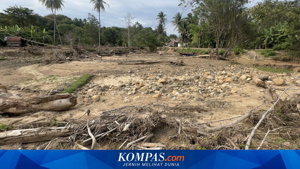 Nestapa Warga Linge Aceh Tengah: Rumah Utuh, tapi Sumber Penghidupan ...