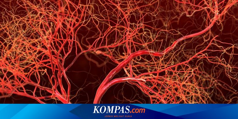 Tanda-Tanda Penyumbatan Darah yang Harus Kita Waspadai