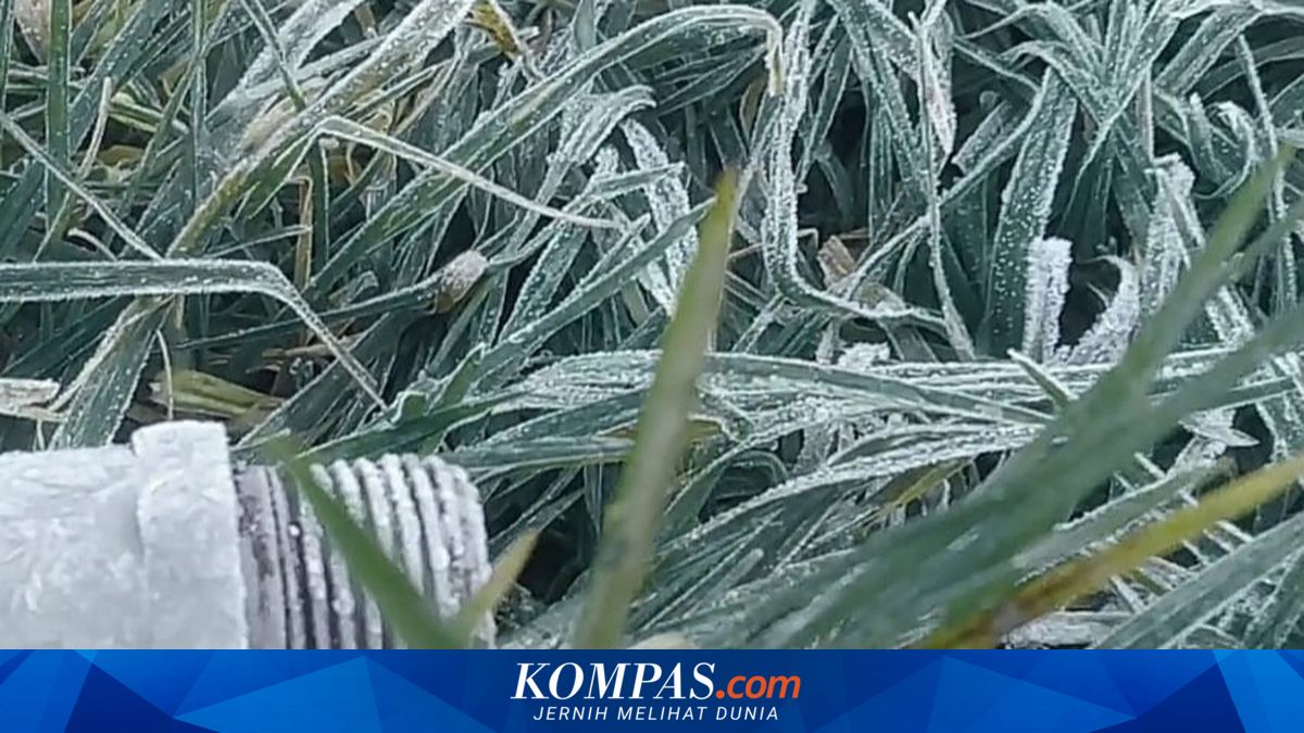 2 Hari Berturut-turut Muncul Embun Es di Dieng, Pagi Ini Suhu Minus 3,5 ...