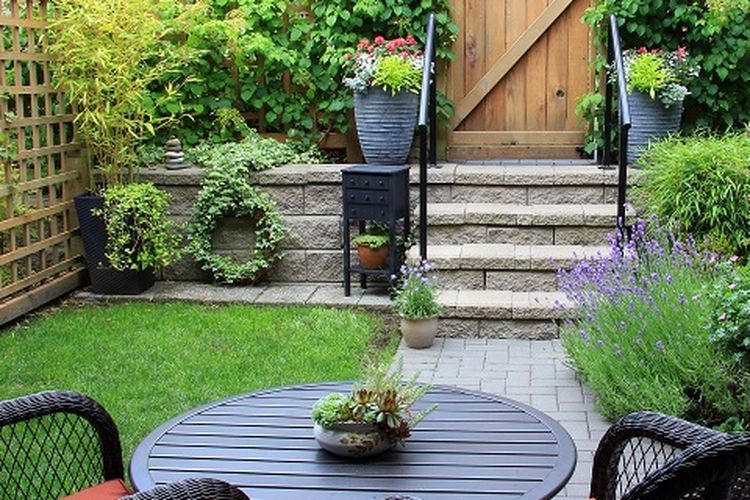 Ketahui, 7 Keuntungan Memiliki Halaman Kecil di Rumah