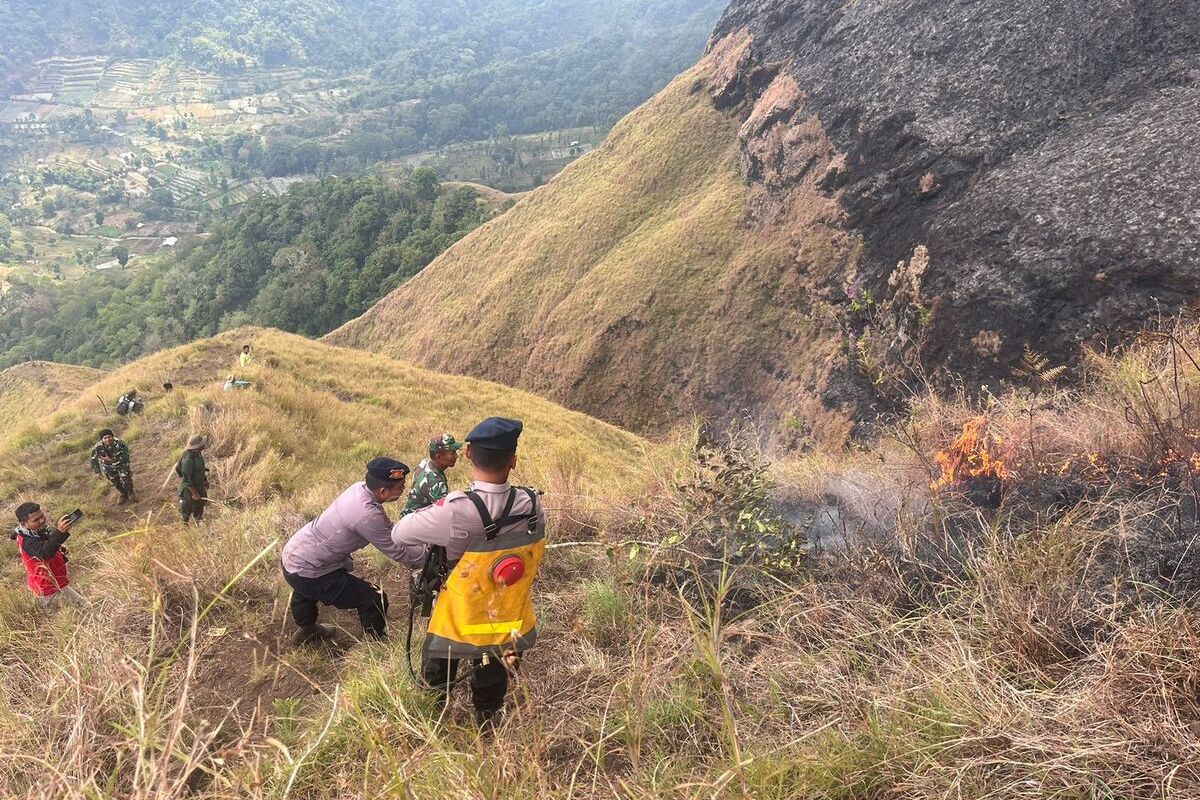 Bukit Anak Dara di Lombok Timur Terbakar, 70 Pendaki Dievakuasi