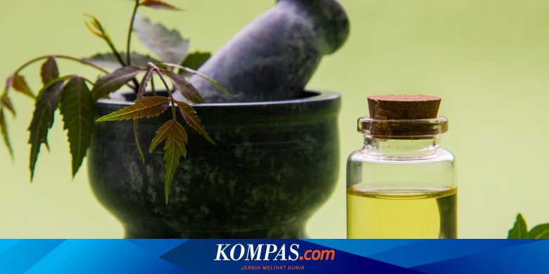 Mengenal Minyak Nimba, Pembasmi Hama Tanaman Secara Alami