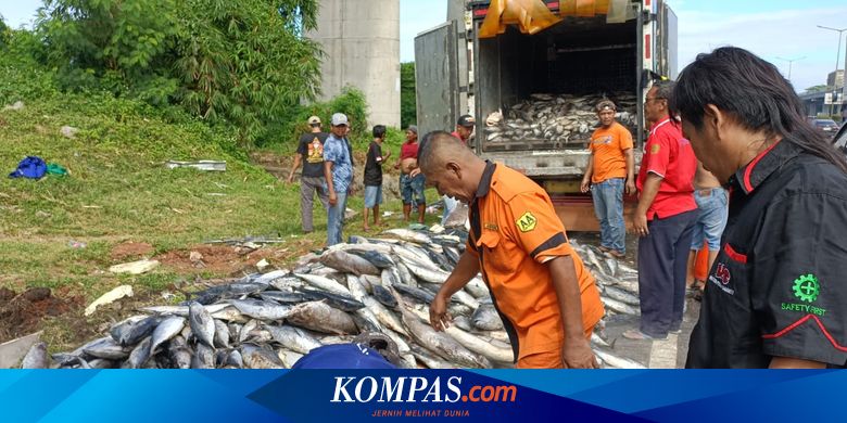 Kecelakaan Truk Pengangkut Ikan di Tol Japek Diduga karena Kelalaian Sopir