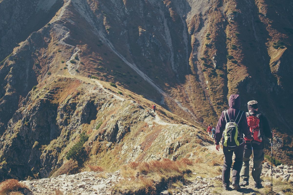 Ketika Pasta Gigi Selamatkan Pendaki yang Hilang 10 Hari di Gunung...