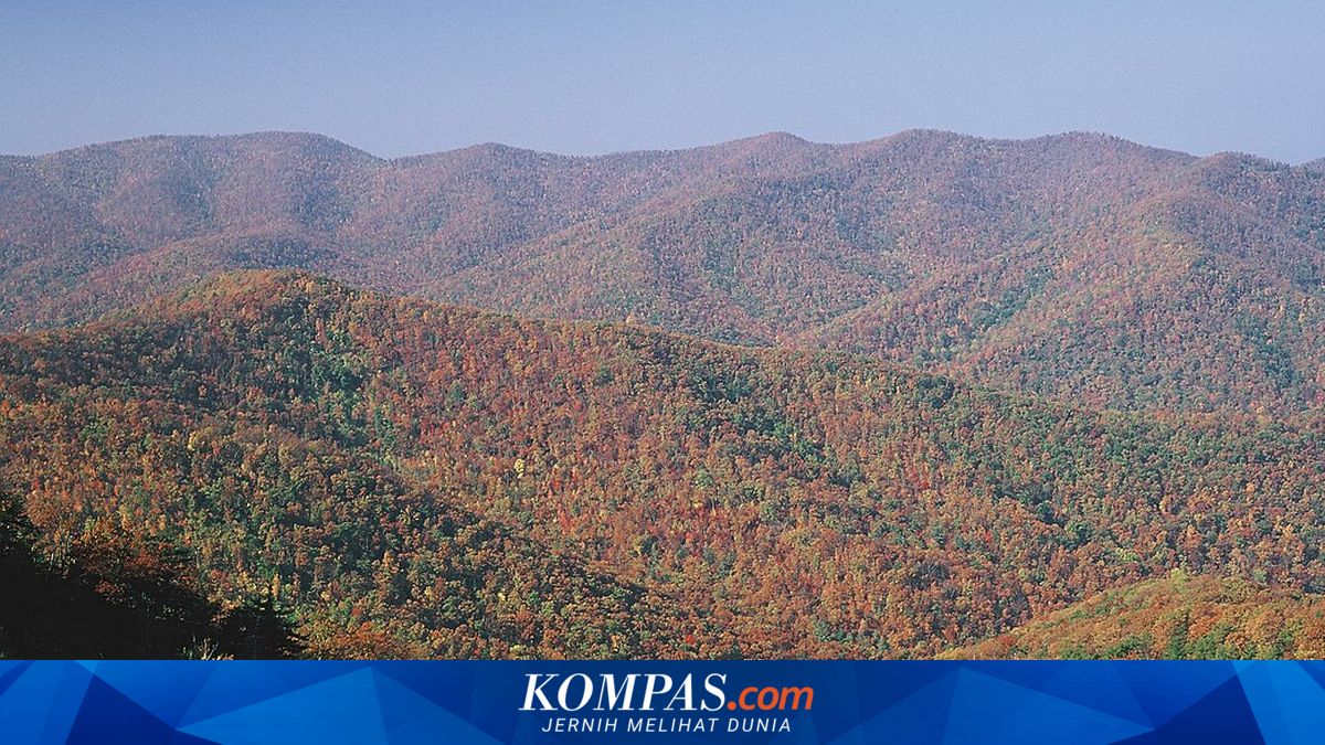 Menilik Pegunungan Appalachia, Rumah bagi Cerita Misteri dan Supranatural
