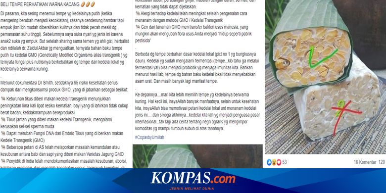 [KLARIFIKASI] Tempe Kedelai Kuning Lebih Baik Dibanding Kedelai Putih