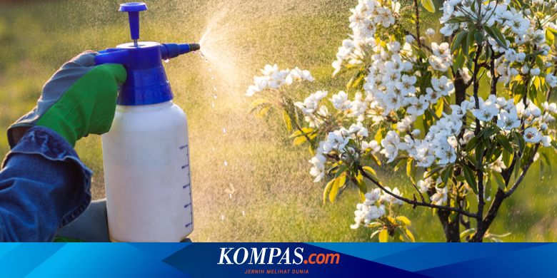 Kapan Harus Gunakan Semprotan Pestisida? Berikut Penjelasannya