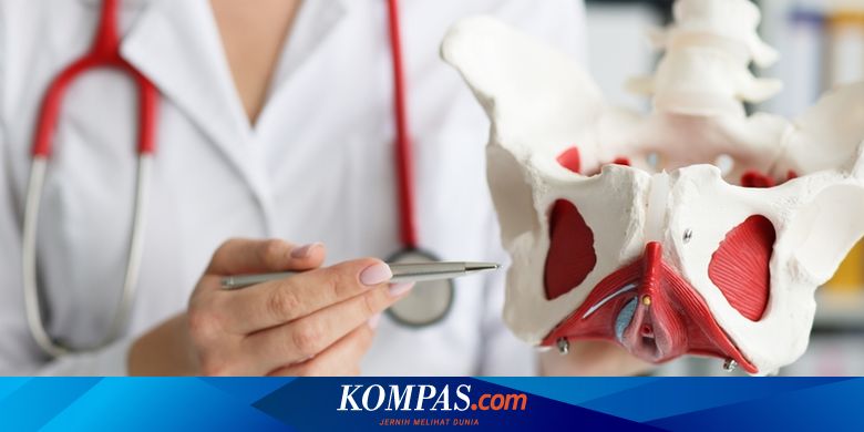 Berita Terkini Harian Nyeri Panggul Pada Wanita Terbaru Hari Ini ...