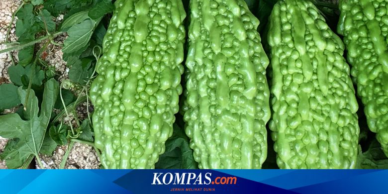 7 Cara Mudah Mengolah Pare agar Tidak Pahit