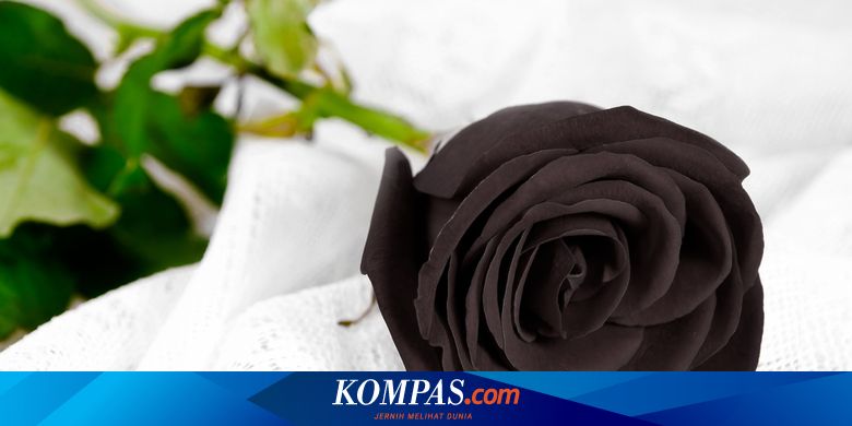 5 Bunga Simbol Duka Cita, Ada Mawar Hitam