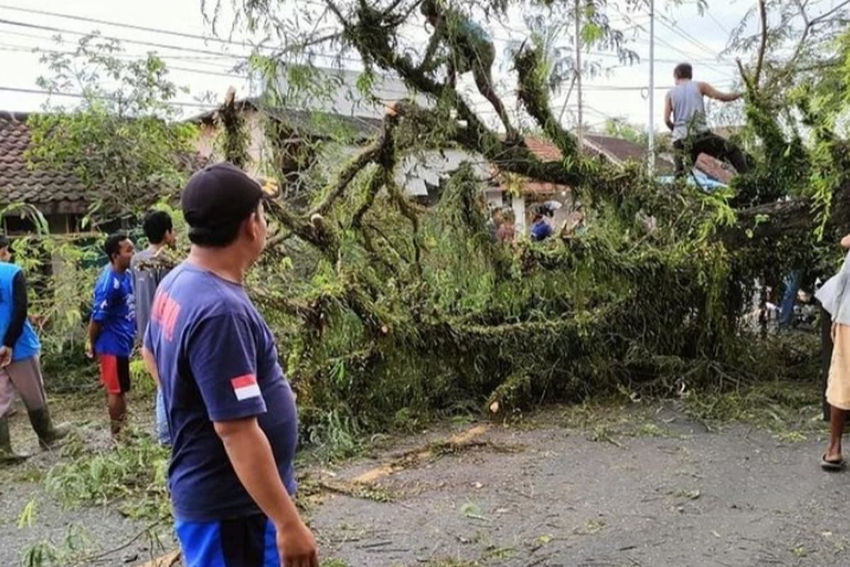 BMKG Ingatkan Cuaca Ekstrem di Banyuwangi, Potensi Puting Beliung hingga Hujan Es