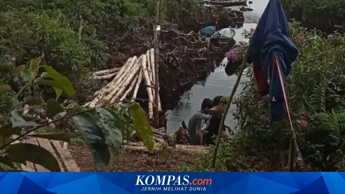 Mahasiswa Unlam Hilang Saat Reboisasi di Hutan Kapuas Kalteng
