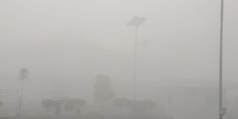 Berita Harian Runway Terbaru Hari Ini - Kompas.com