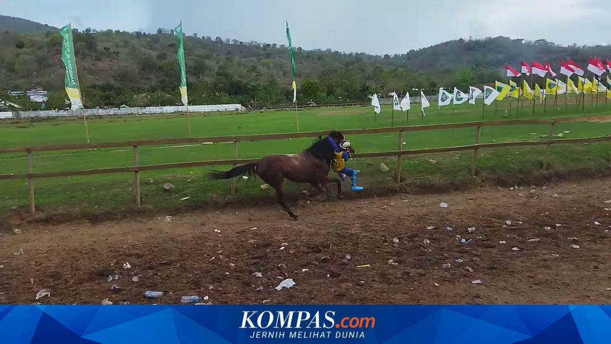 Soal Joki Cilik Jatuh dari Kuda Miliknya, Ini Kata Gubernur NTB