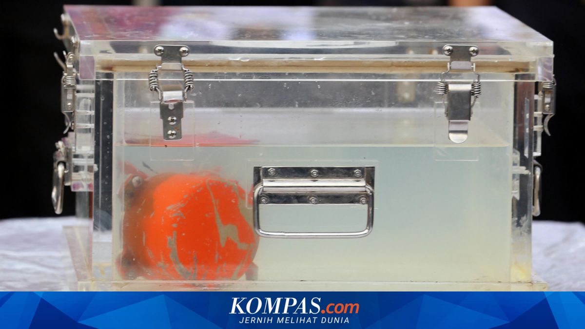 7 Fakta Black Box, Komponen Penting Pesawat yang Jarang Orang Ketahui
