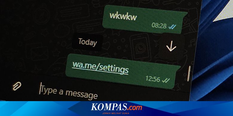 Chat "WA Me Settings" Bikin WhatsApp Crash, Ini Penjelasan Teknisnya