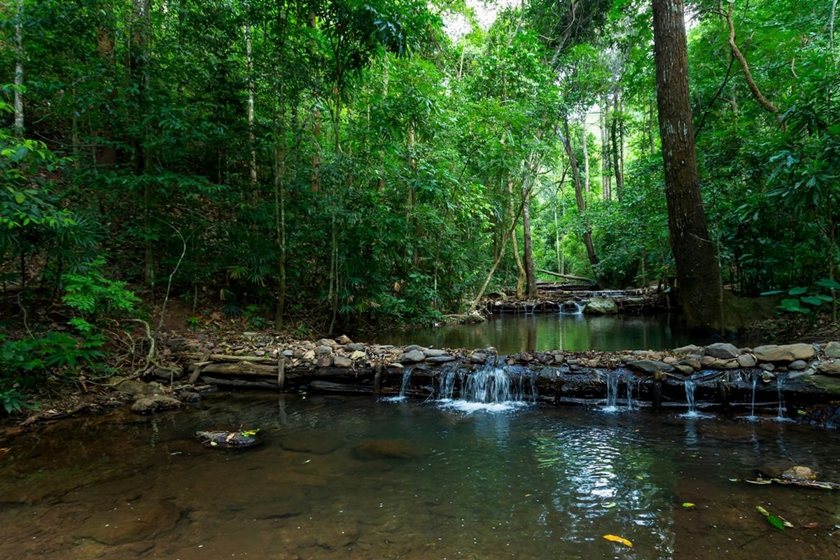 Mengenal Check Dam, Bendungan Mini yang Bisa Kurangi Erosi