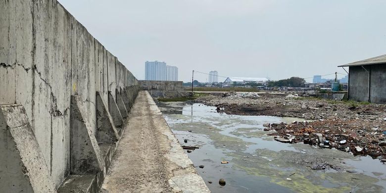 4 Dampak Giant Sea Wall Menurut Walhi
