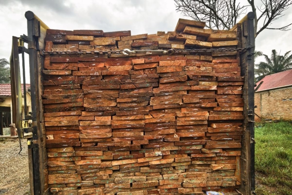 2 Pengangkut Kayu Hasil Illegal Logging Ditangkap Polisi di Riau