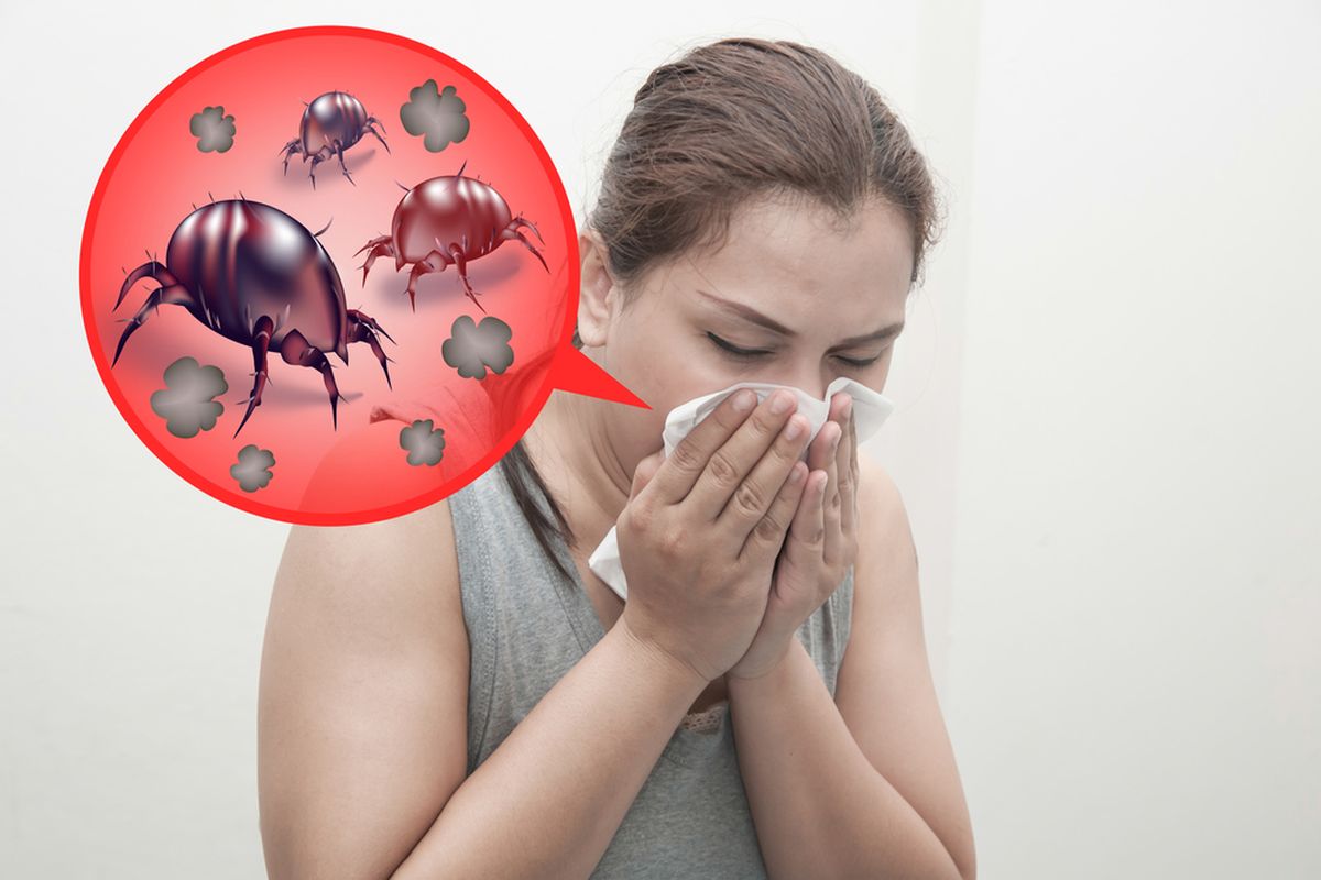 Mengenal Tungau, Gejala Alergi hingga Cara Menghilangkannya