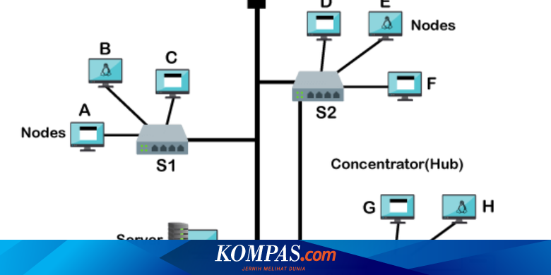Ciri-ciri Topologi Tree dan Cara Kerjanya dalam Jaringan Komputer yang ...