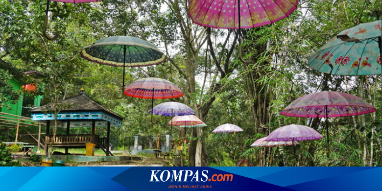 Berita Harian Wisata Palangkaraya Bukit Tangkiling Terbaru Hari Ini ...