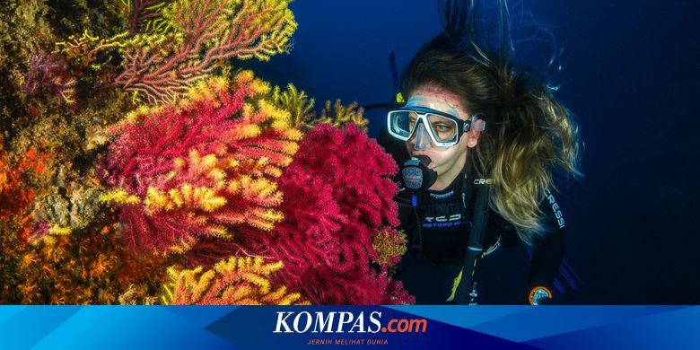 Tips Belajar Menyelam untuk Pemula, Bisa Mulai dari Scuba Diving