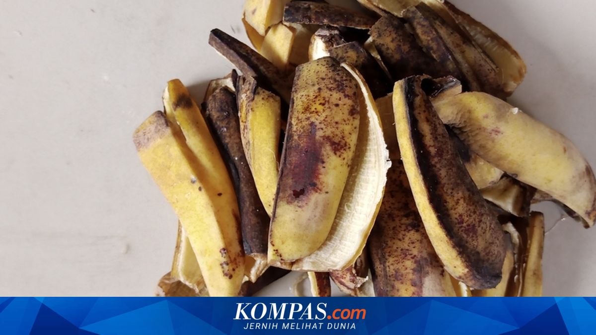 Jangan Dibuang, 4 Manfaat Tak Terduga Kulit Pisang untuk Bunga Mawar