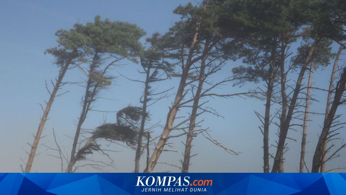 Fenomena Angin Kencang di Aceh Bisa Berlangsung hingga Agustus
