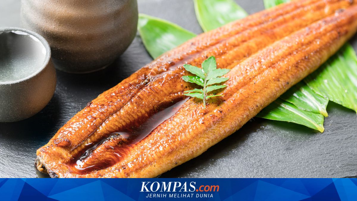 Jepang Akan Jual Unagi Hasil Penangkaran, Harganya Rp 900.000