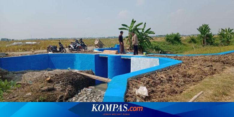 Dapat Bantuan RJIT, Petani di Kabupaten Muna Mulai Genjot Produksi ...