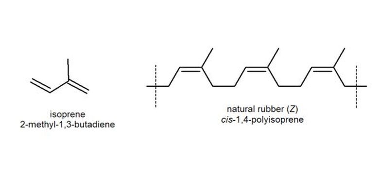 Polimer Karet Alam: Pengertidan dan Polimerisasinya
