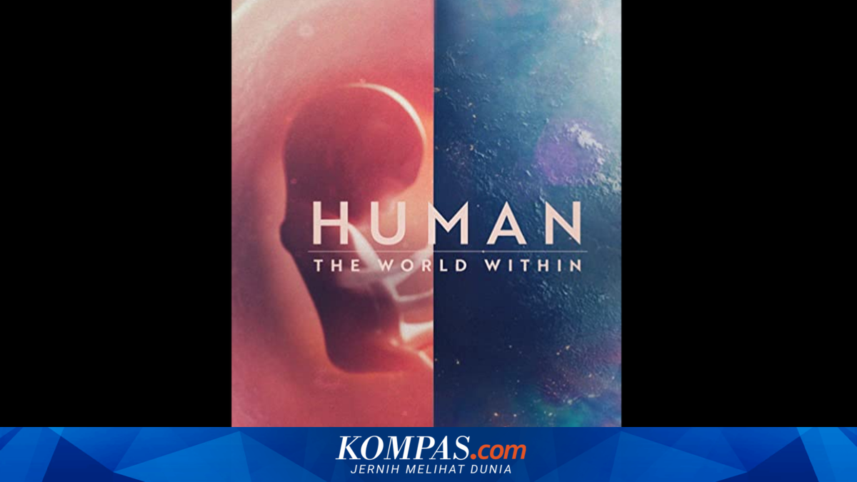 Sinopsis Human: The World Within, Menguak Keajaiban dalam Tubuh Manusia ...