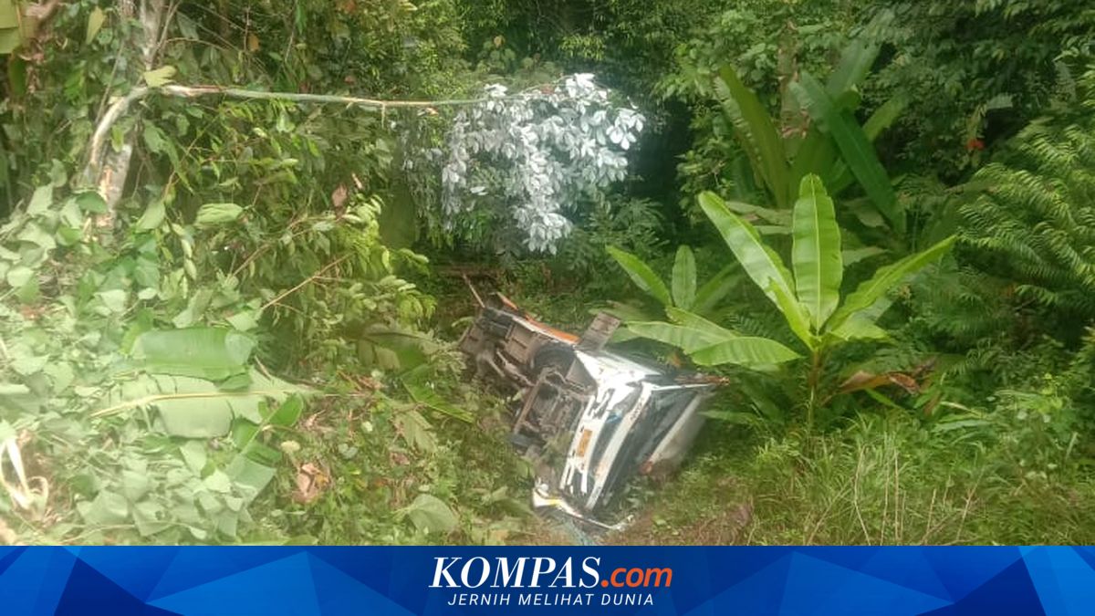 Insiden Bus DAMRI di Tana Tidung, Manajemen Minta Maaf dan Janji ...