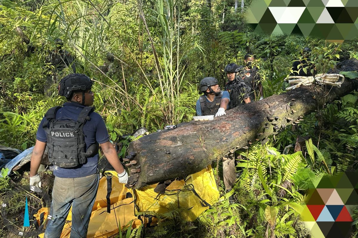 Duka Papua Pegunungan: 11 Korban KKB Dievakuasi, Sebagian Dimakamkan di Yahukimo