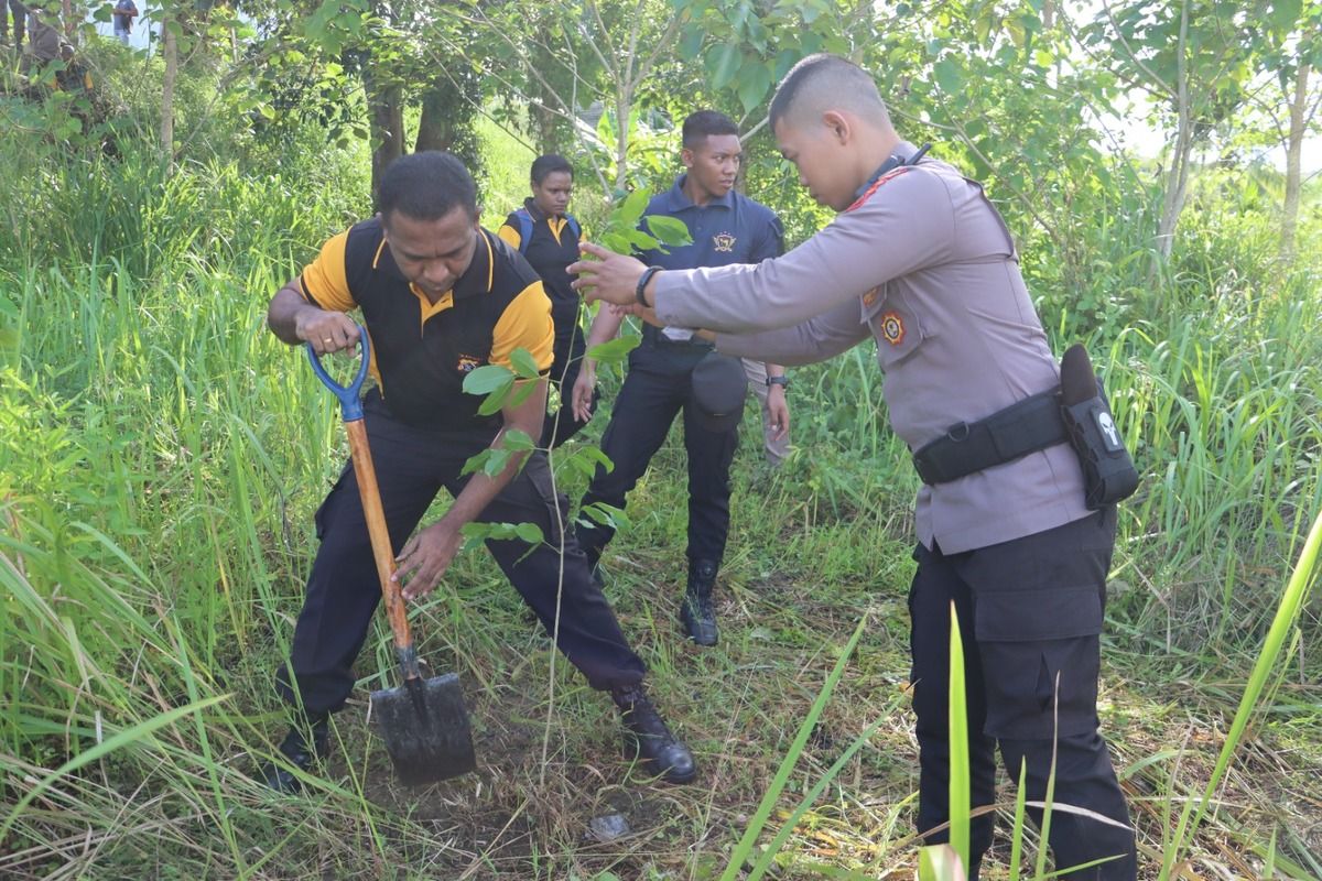 Peringati 4 Tahun Banjir Bandang di Sentani, 1.000 Bibit Pohon Ditanam ...