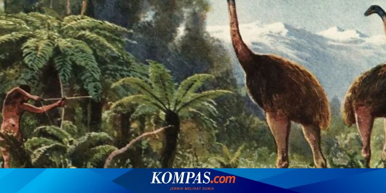 Burung Raksasa Purba Moa Akan Dihidupkan Kembali dalam 10 Tahun?