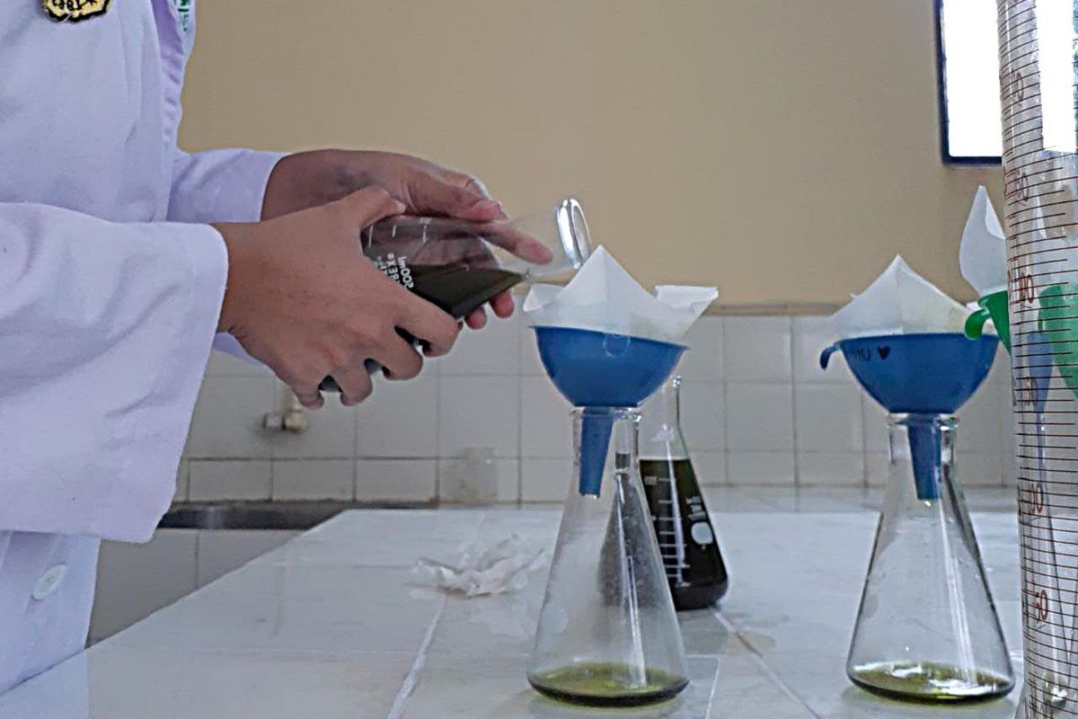 Mahasiswa Unsoed Teliti Seledri Jadi Obat Herbal Penyakit Ginjal
