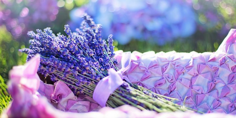 10 Manfaat Lavender untuk Kesehatan, Redakan Kecemasan hingga Insomnia